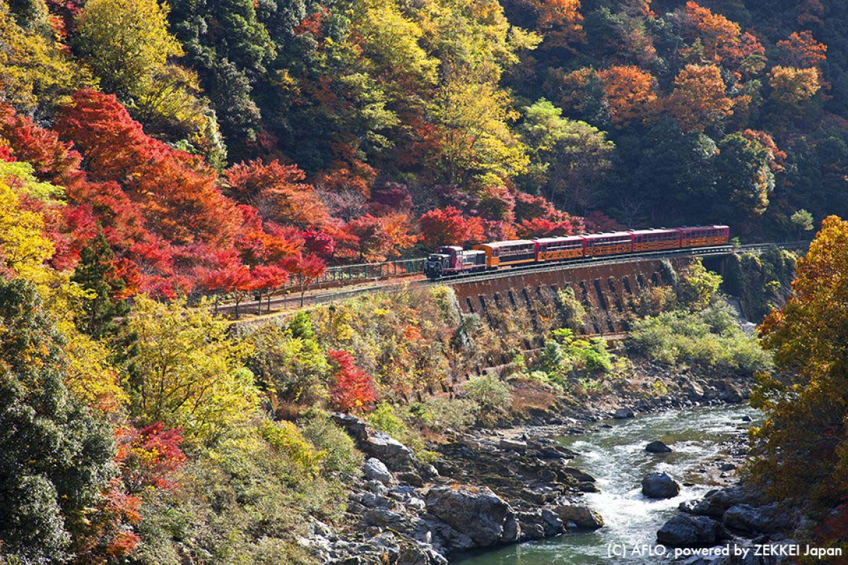 Autumn in Japan is so beautiful! ZEKKEI’s Captivating Fall Foliage ...